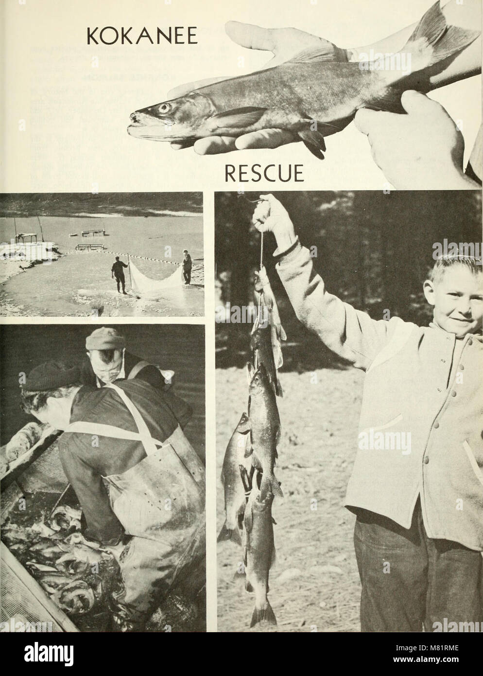 California fish and game (20326374848 Stock Photo - Alamy