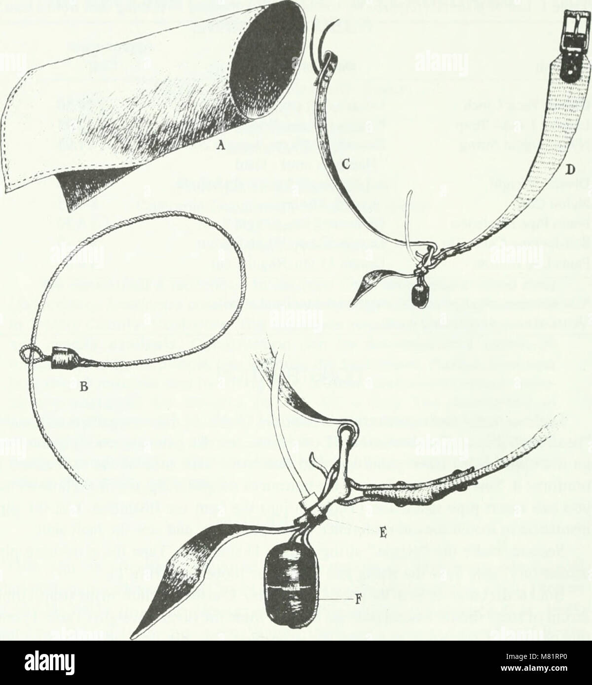 'California Fish and Game' is a publication dedicated to the study and ...