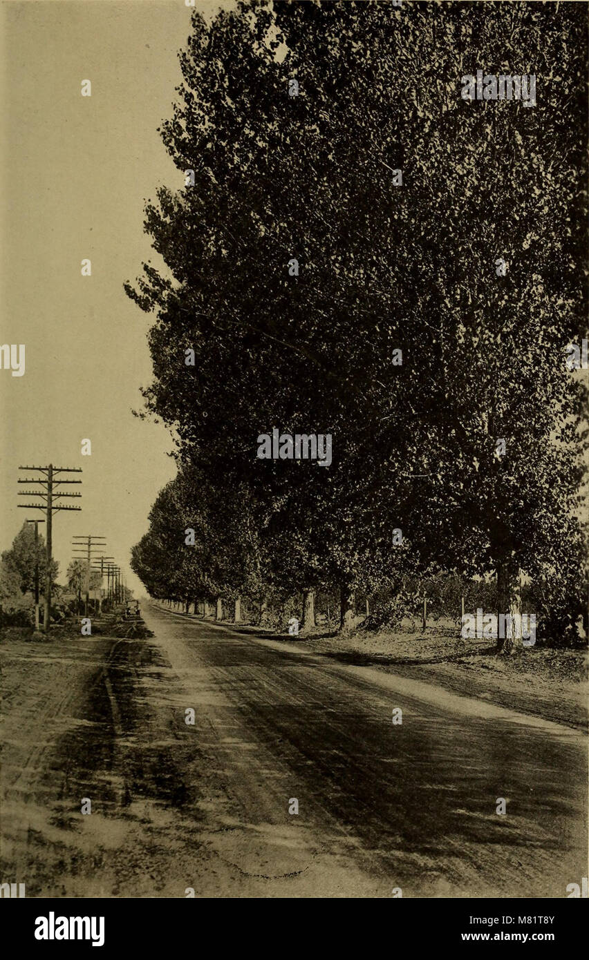 California highways; a descriptive record of road development by the ...