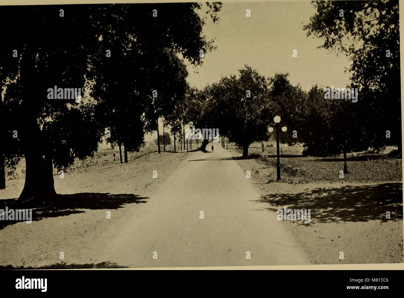 A 1920 record documenting the development of highways in California ...