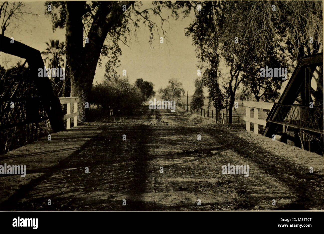 This 1920 work details the development of Californiaâ€™s highways ...