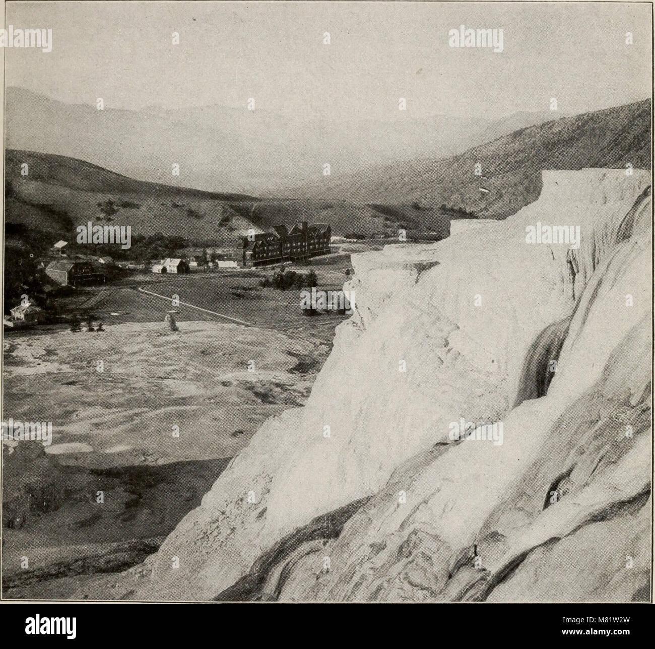 Campbell's new revised third edition complete guide and descriptive ...