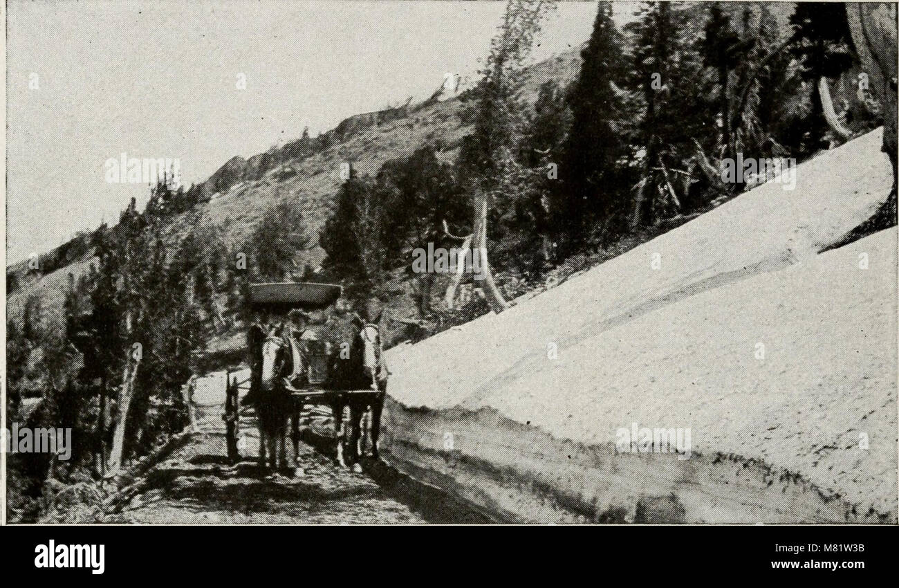 Campbells New Revised Third Edition Complete Guide And Descriptive Book Of The Yellowstone Park 6726
