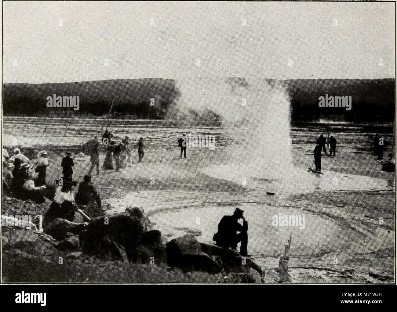 *Campbell's New Revised Third Edition Complete Guide and Descriptive ...