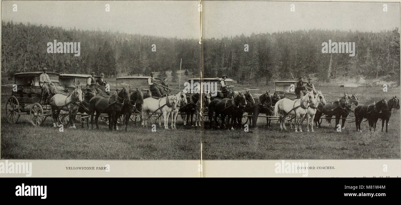 This 1916 guide provides an in-depth description of Yellowstone ...