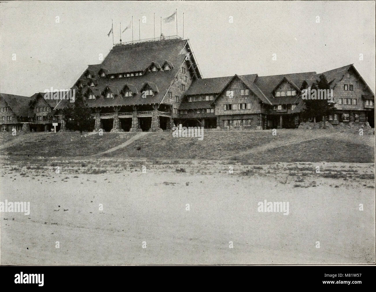 Campbell's new revised third edition complete guide and descriptive ...