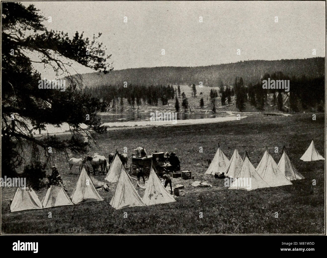 Campbell's new revised third edition complete guide and descriptive ...