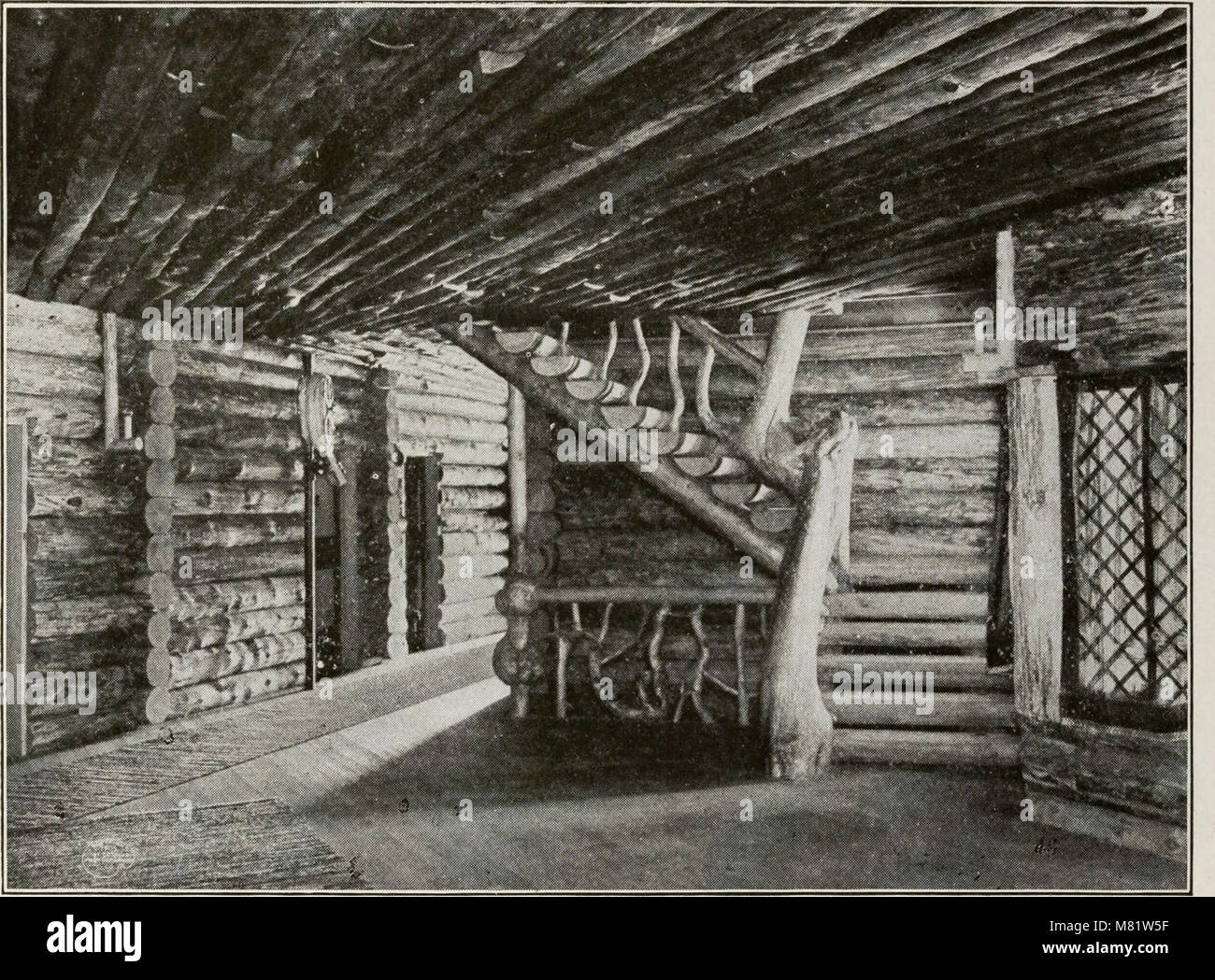 Campbell's new revised third edition complete guide and descriptive ...