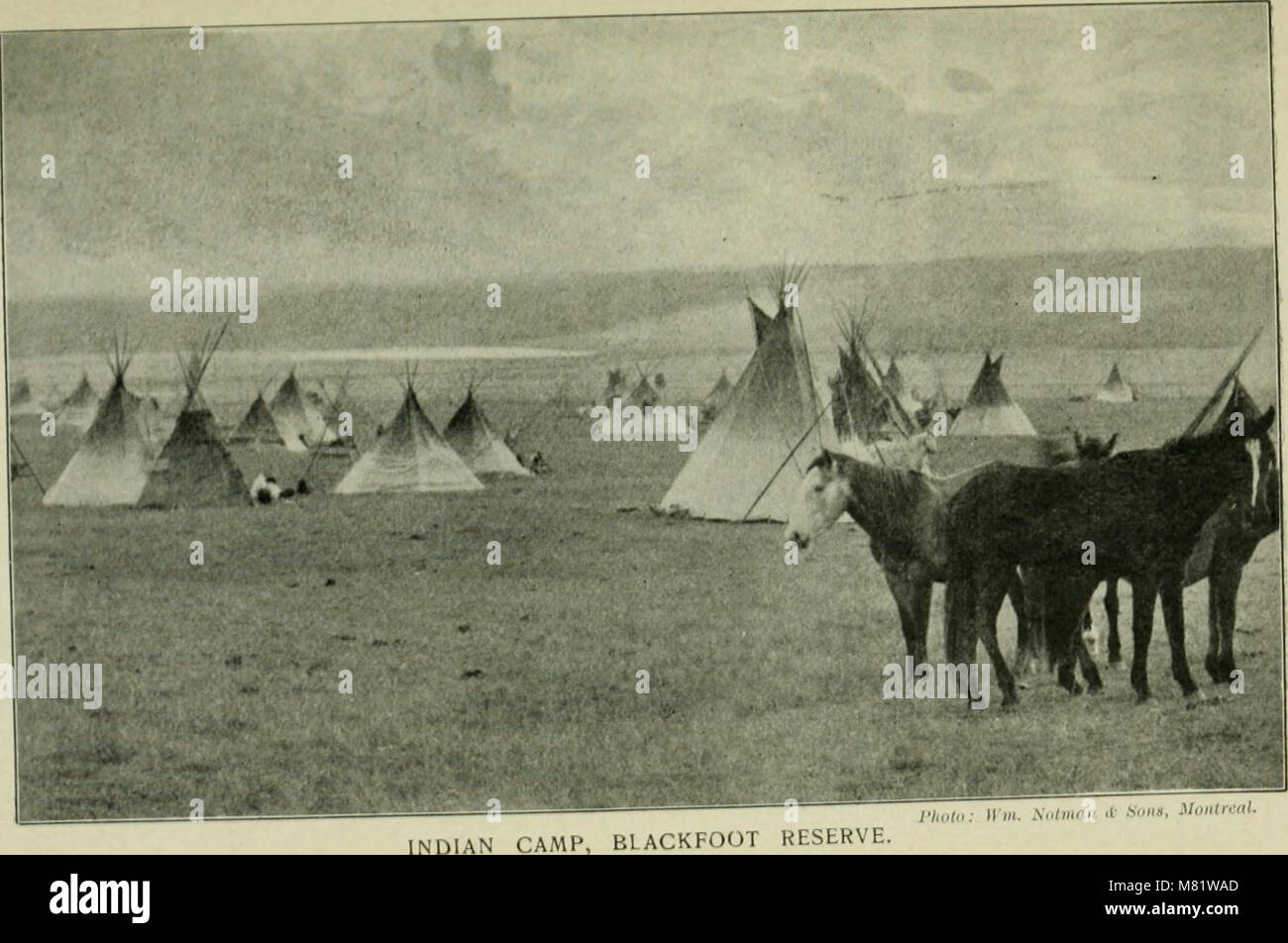 'Canada, Britain's Largest Colony' (1904) explores the history ...