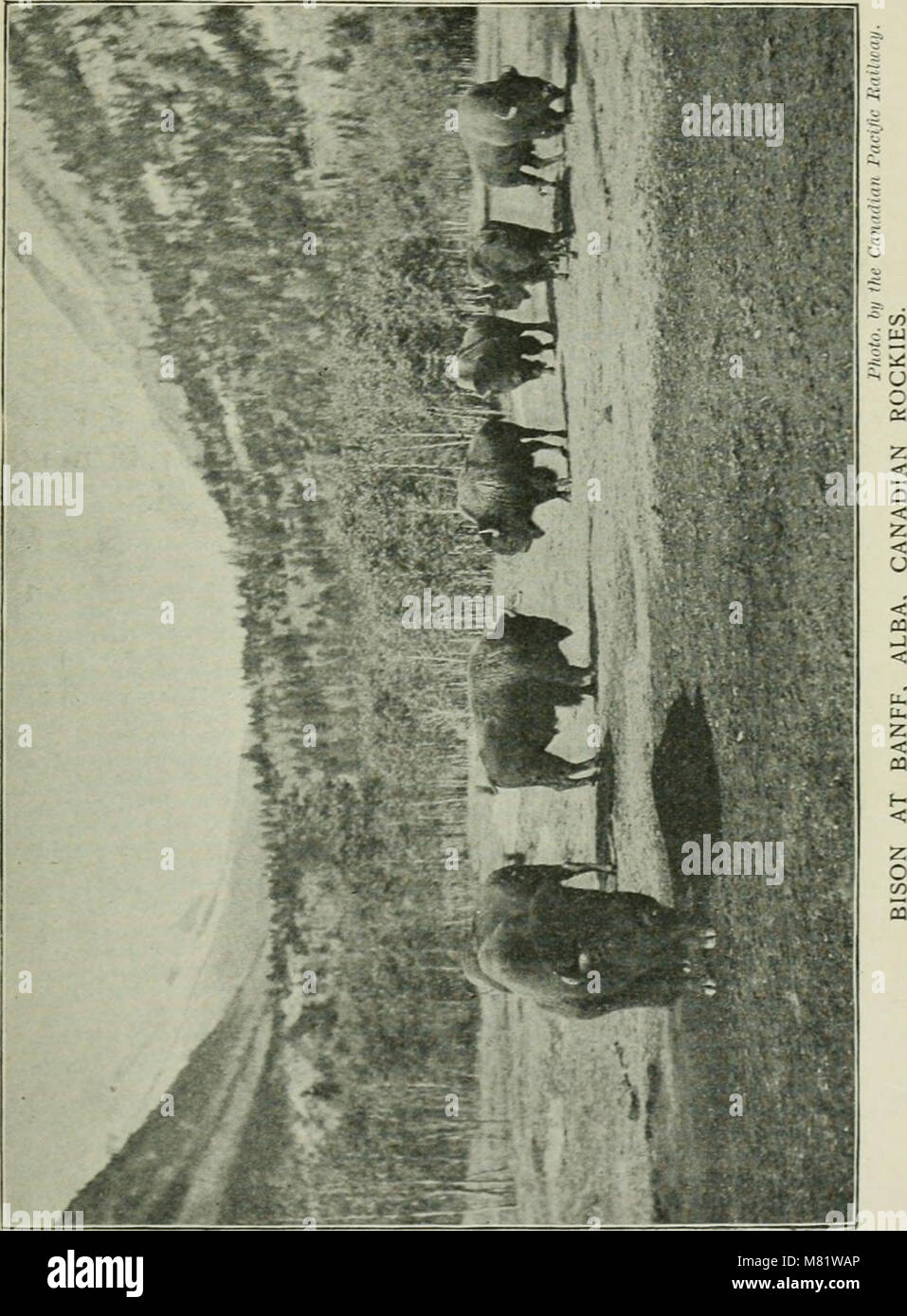 Canada, Britain's largest colony; with a chapter on Newfoundland and ...