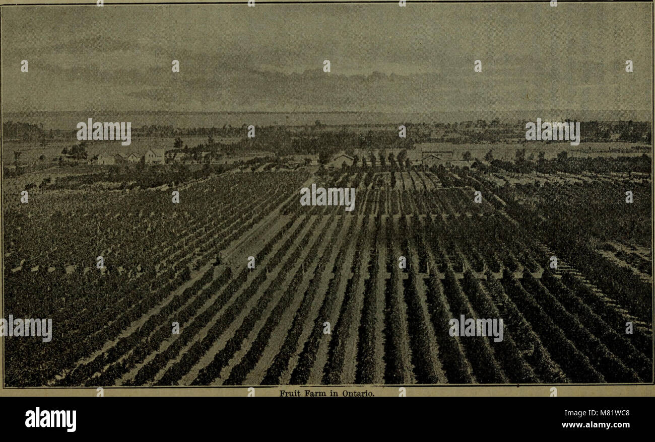 Descriptive text book hi-res stock photography and images - Alamy