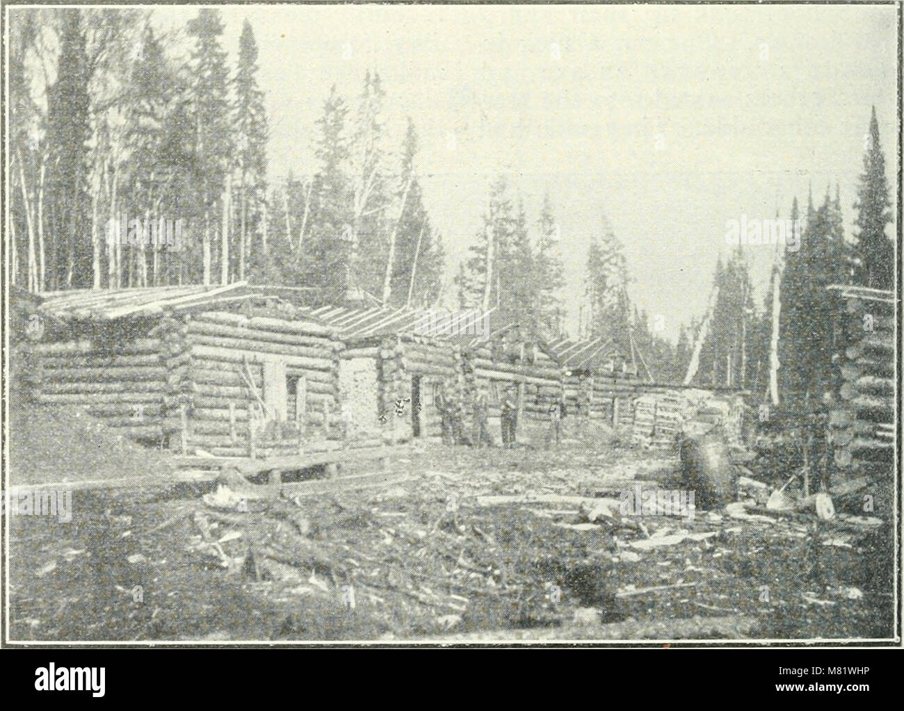 Canadian forestry journal (19902115444 Stock Photo - Alamy