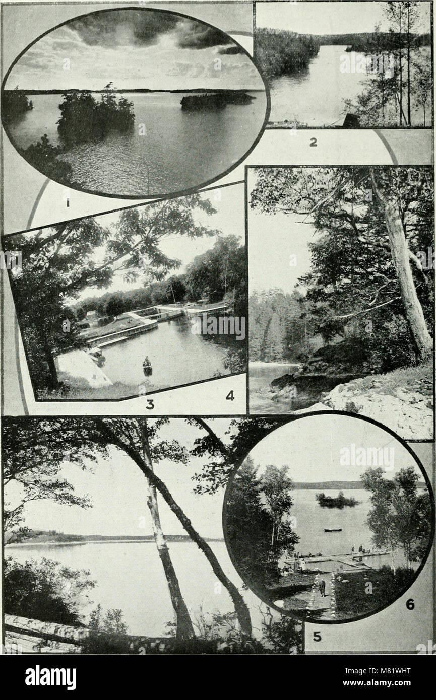 Canadian forestry journal (19902371564 Stock Photo - Alamy