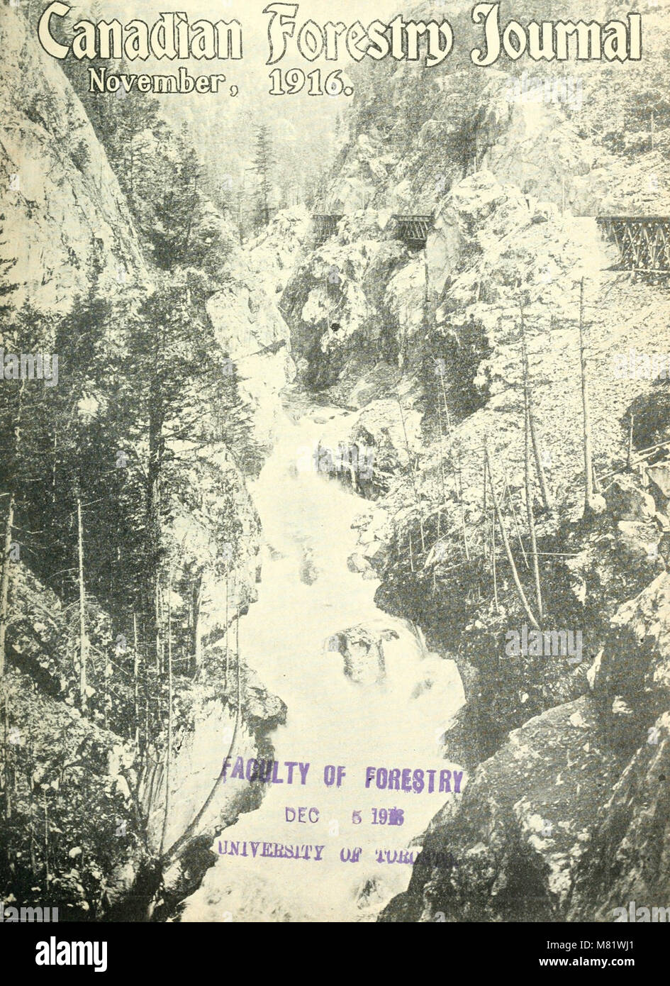 The Canadian Forestry Journal covers the latest research and ...