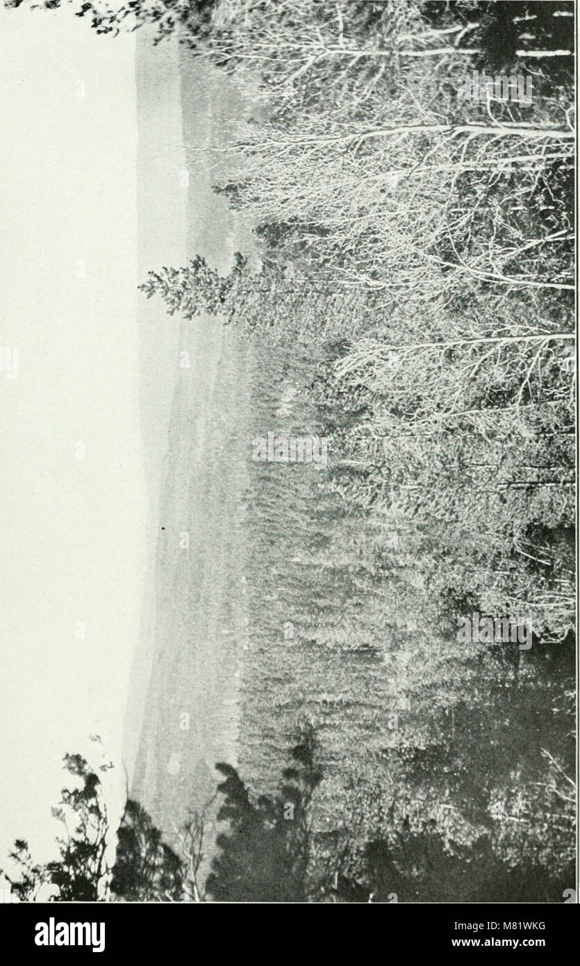 The 'Canadian Forestry Journal' covers topics related to forestry ...