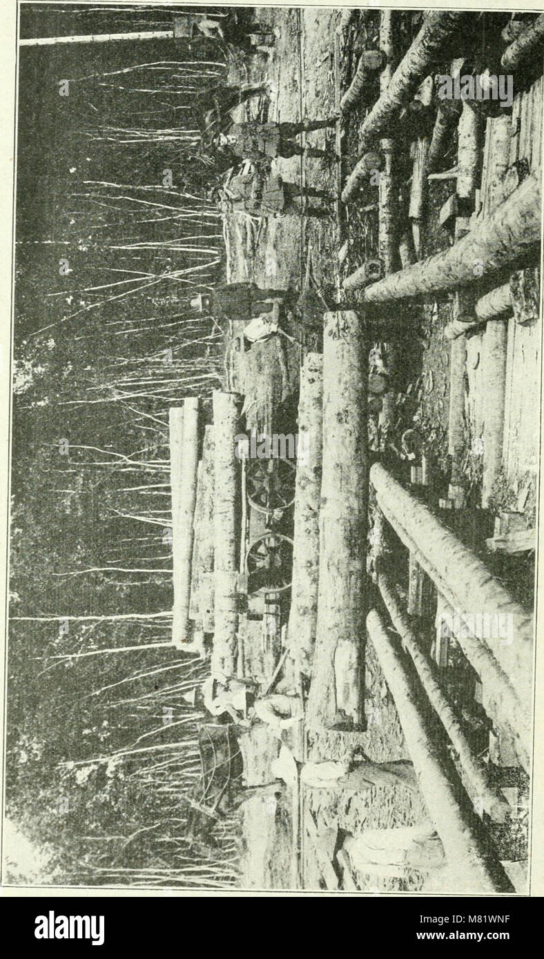 Canadian forestry journal (20515085852 Stock Photo - Alamy