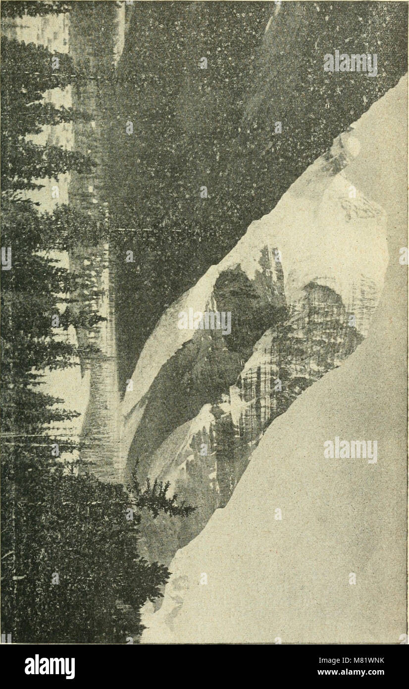 Canadian forestry journal (20515652622 Stock Photo - Alamy