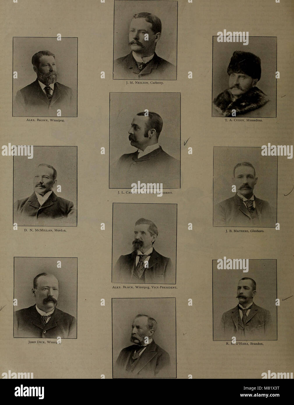 Canadian forest industries 1894-1896 (1896) (20498666956 Stock Photo ...