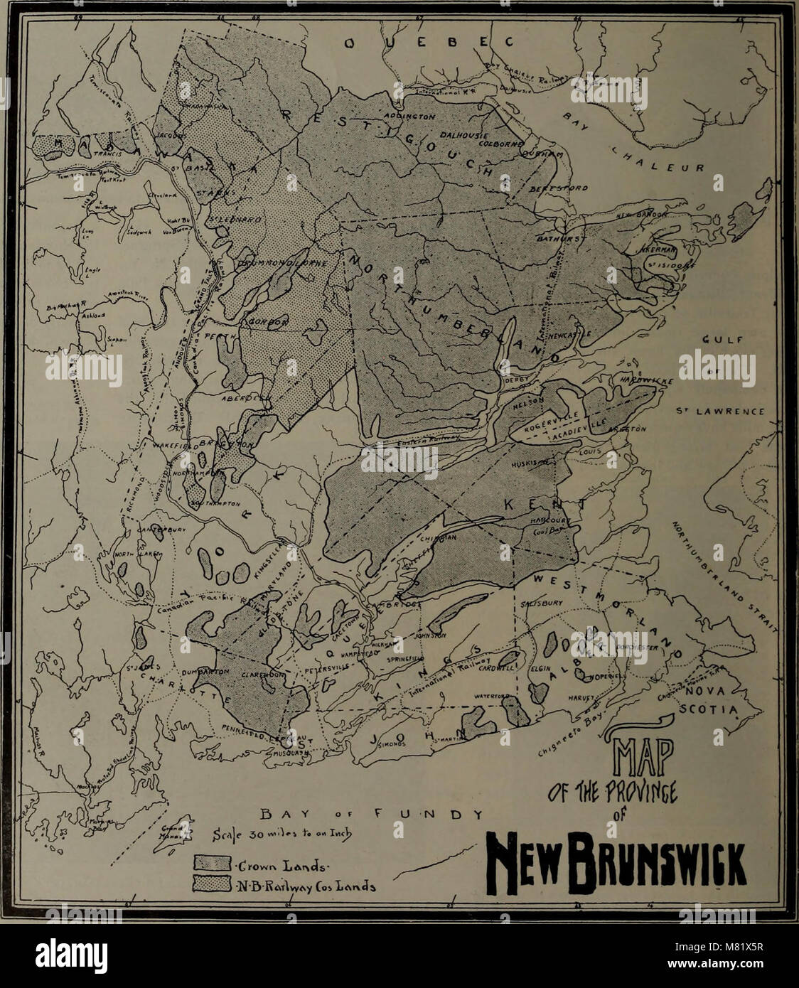 The 'Canadian Forest Industries 1897-1899' report examines the state of ...