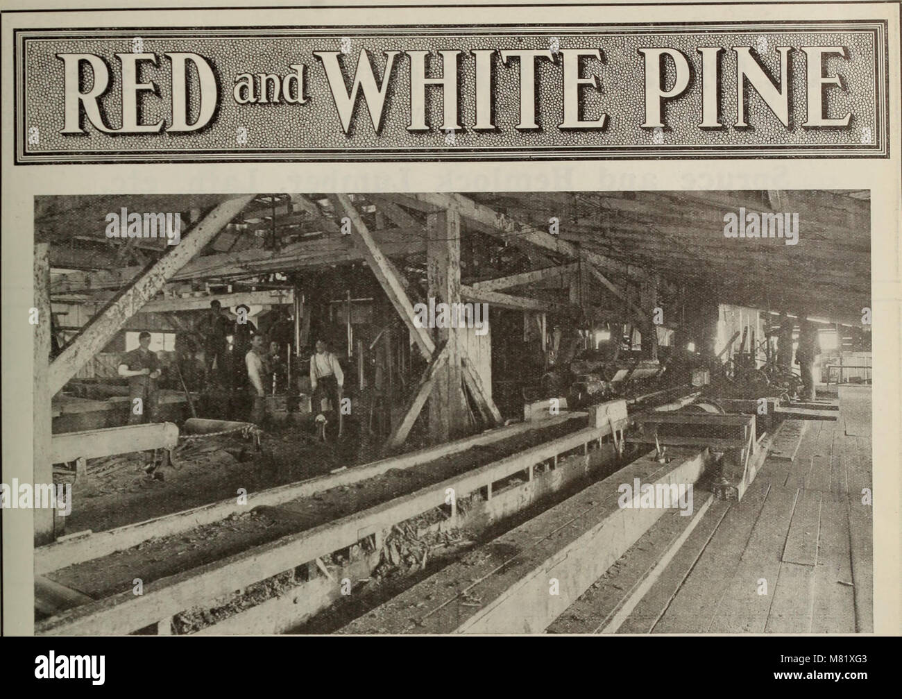 Early logging techniques hi-res stock photography and images - Alamy