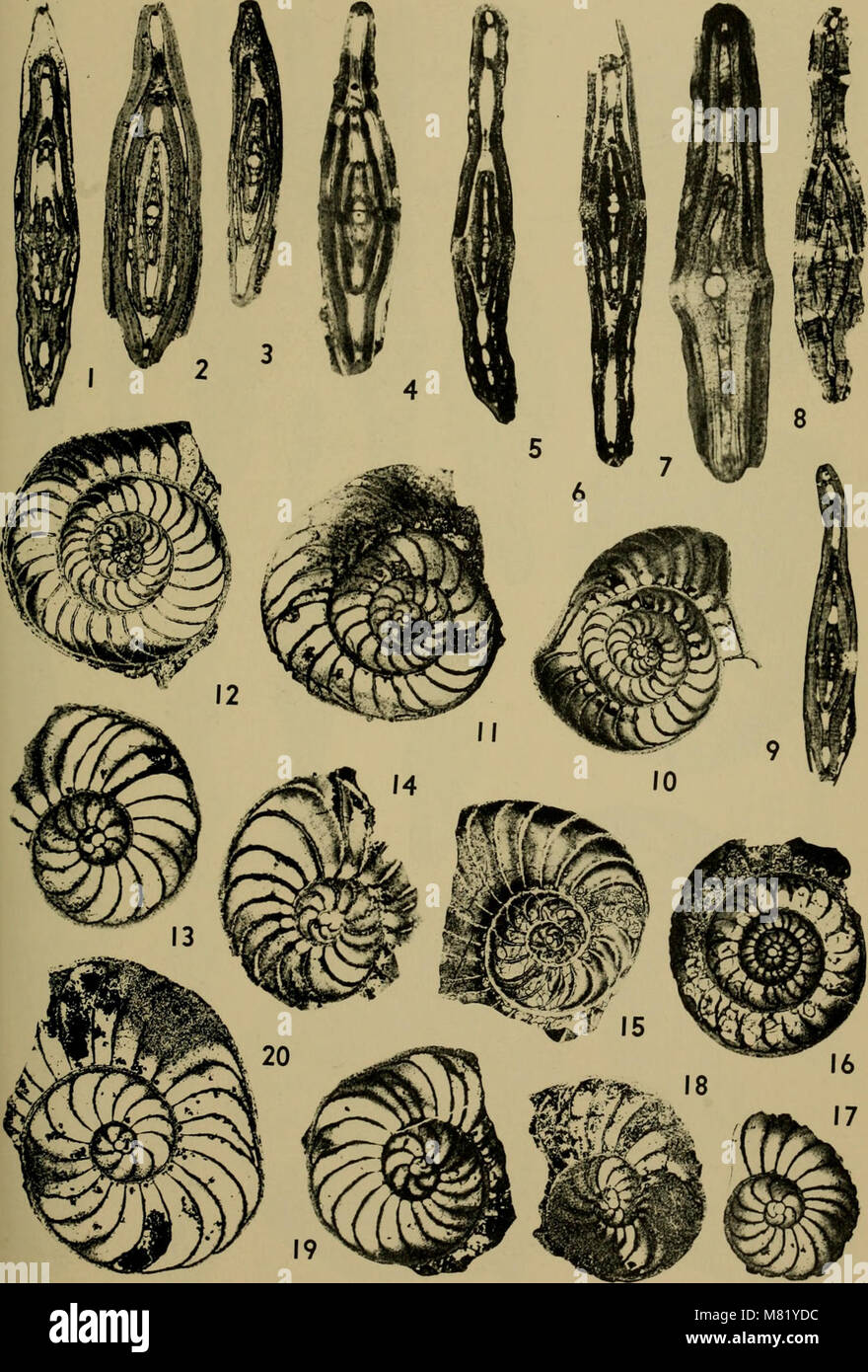 1957 bulletin from american hi-res stock photography and images - Alamy