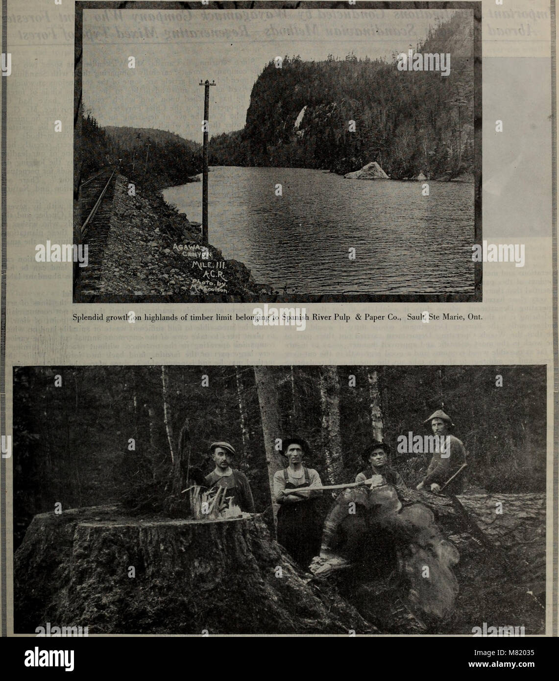 The 'Canadian Forest Industries' magazine (1921) covers developments in ...