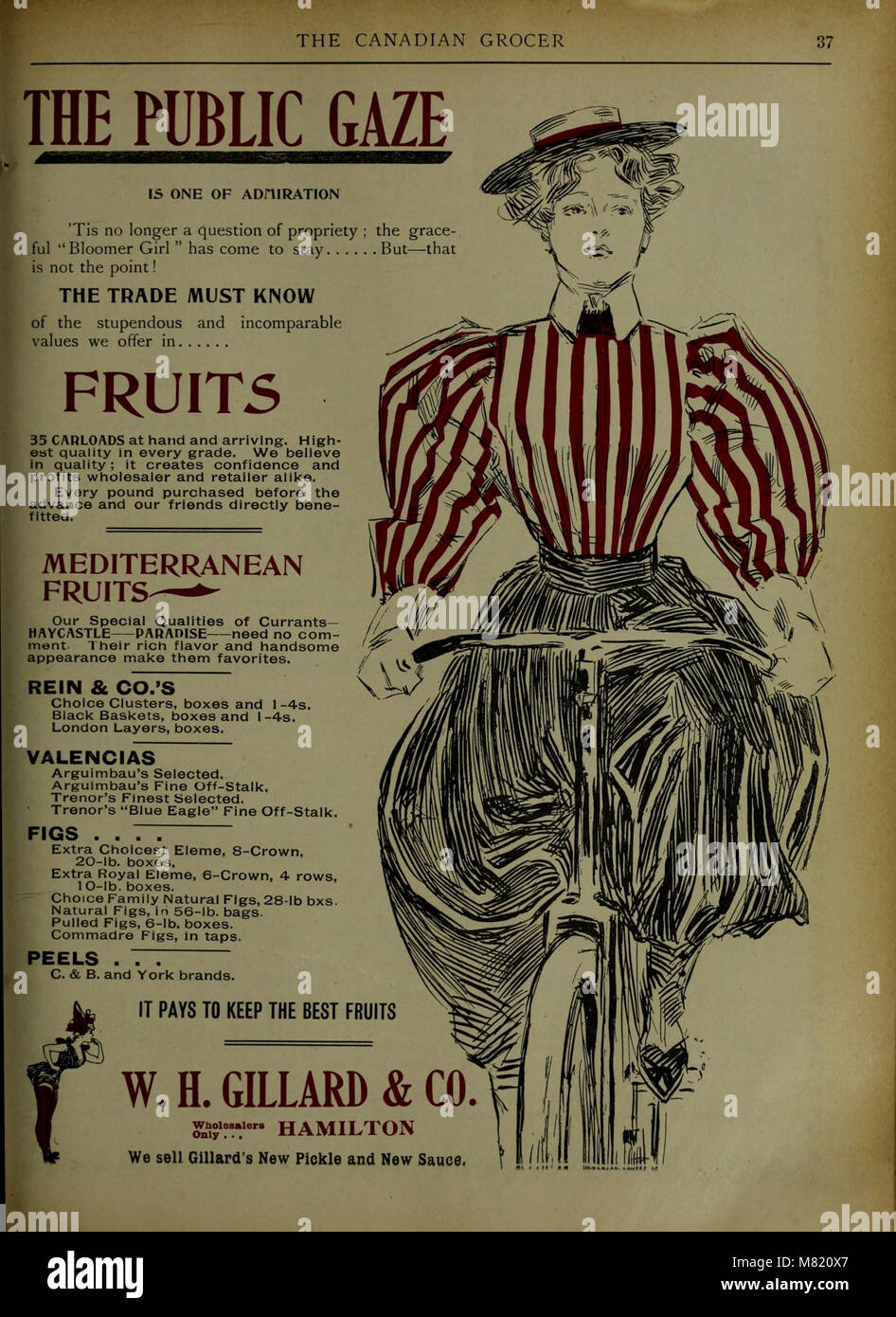 The 'Canadian Grocer' report from July-December 1896 covers retail ...