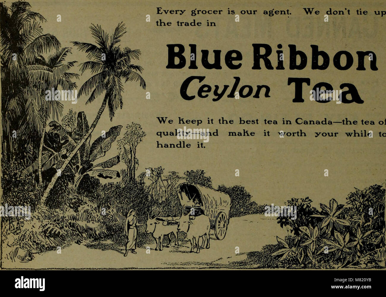 The *Canadian Grocer* magazine from July to December 1903 offers a ...