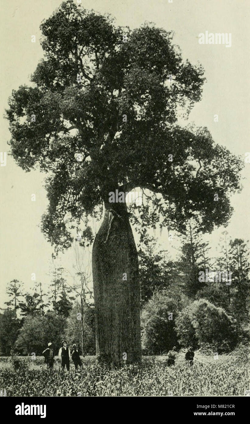 This 1922 geography textbook for Canadian schools covers the country's ...