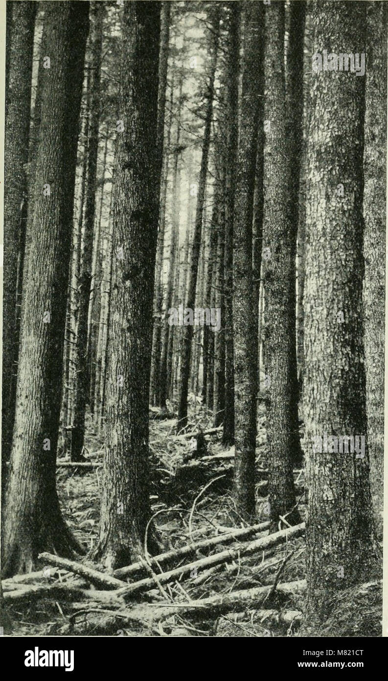 'Canadian School Geography' (1922) provides a comprehensive study of ...