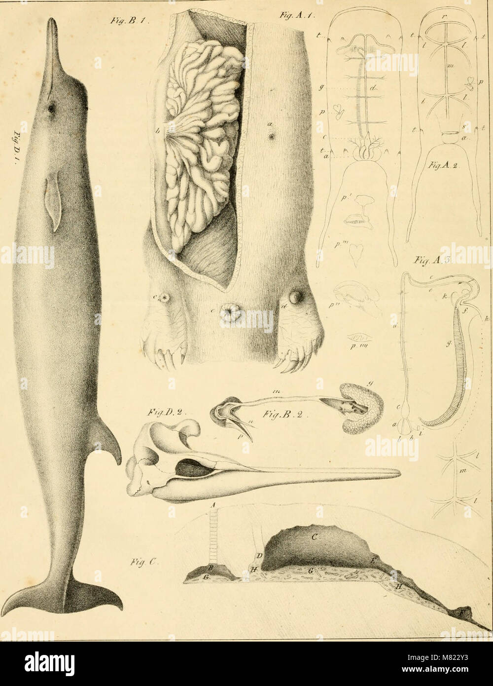 The Bulletin (1826) provides historical documentation on various ...