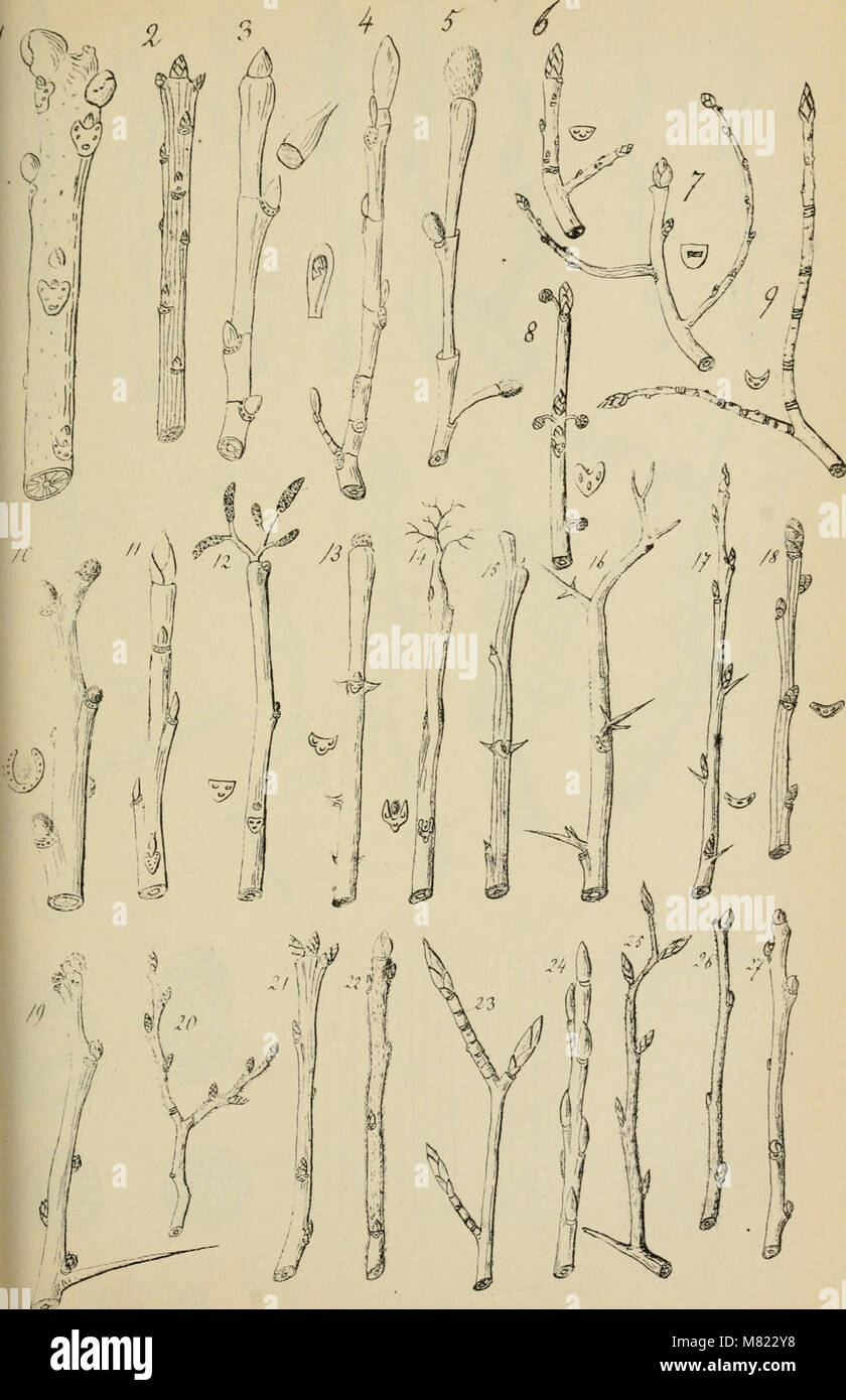 This 1876 bulletin covers a range of topics, presenting scientific and ...