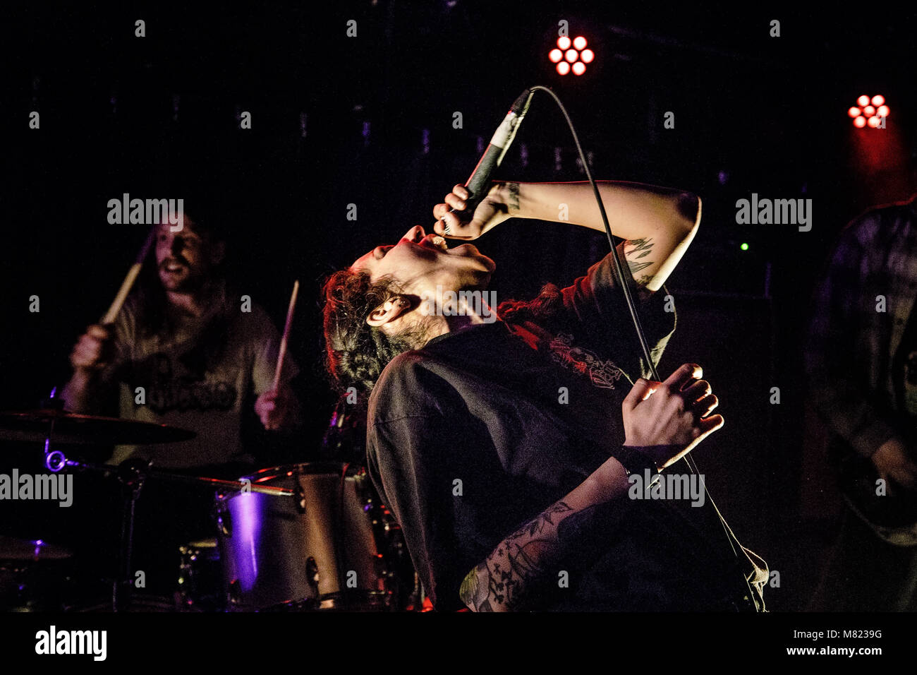 Vile ace band hi-res stock photography and images - Alamy