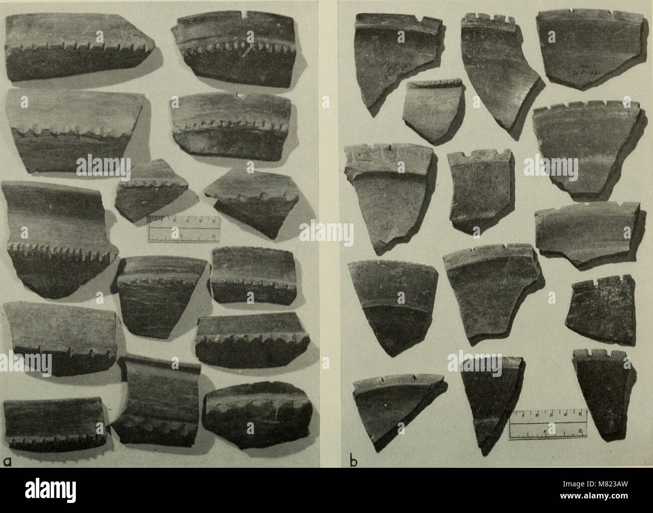 The 1901 Bulletin presents research findings, scientific studies, and ...