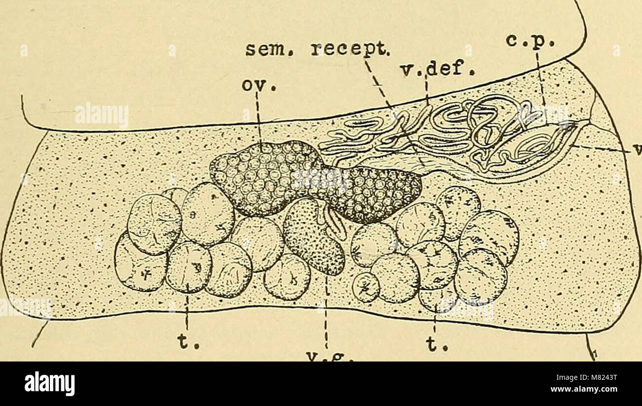 The 1909 Bulletin covers various scientific research topics, including ...