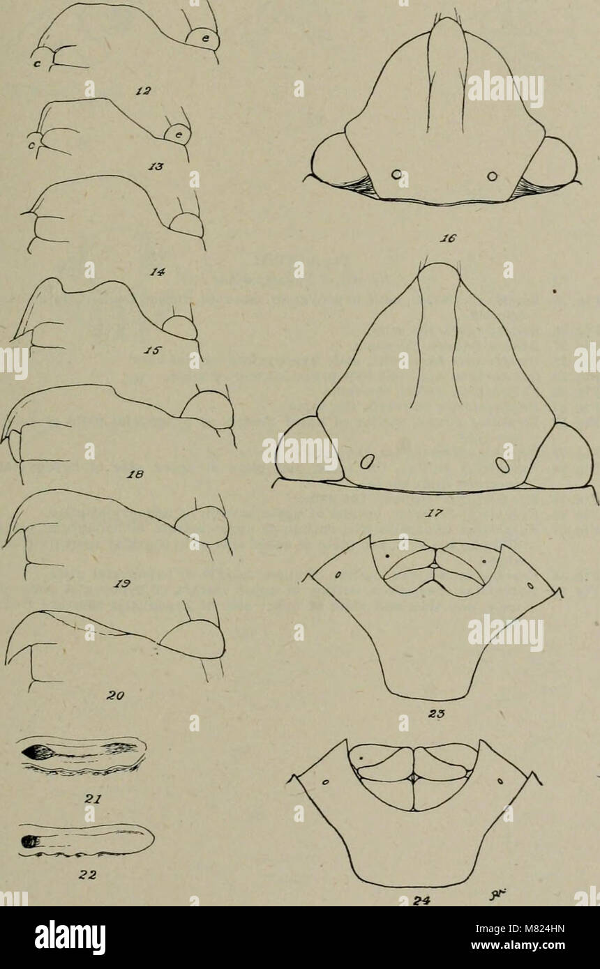 The 1918 bulletin provides updates and reports on various scientific ...