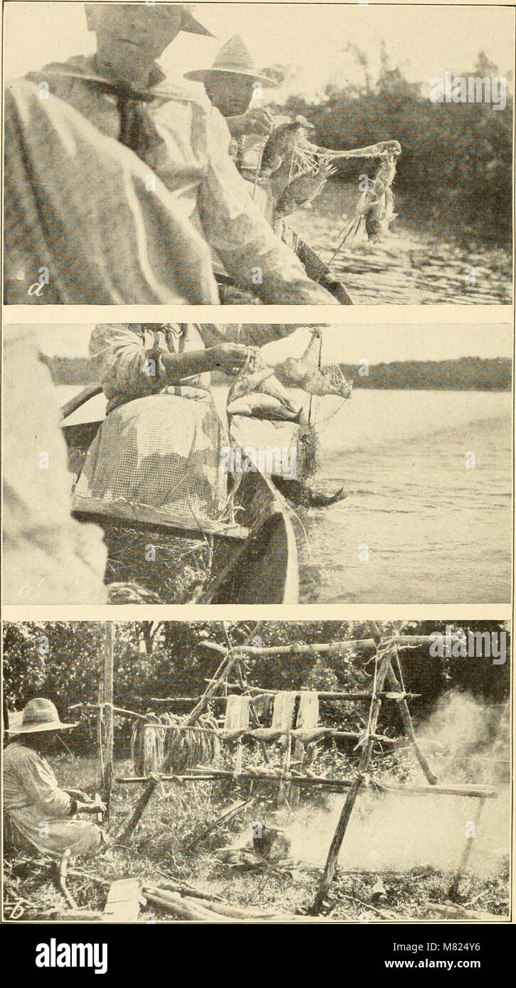 The 'Bulletin' (1929) is a scientific periodical that publishes ...