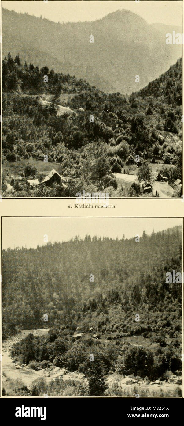 This 1932 bulletin presents important findings and updates in a ...