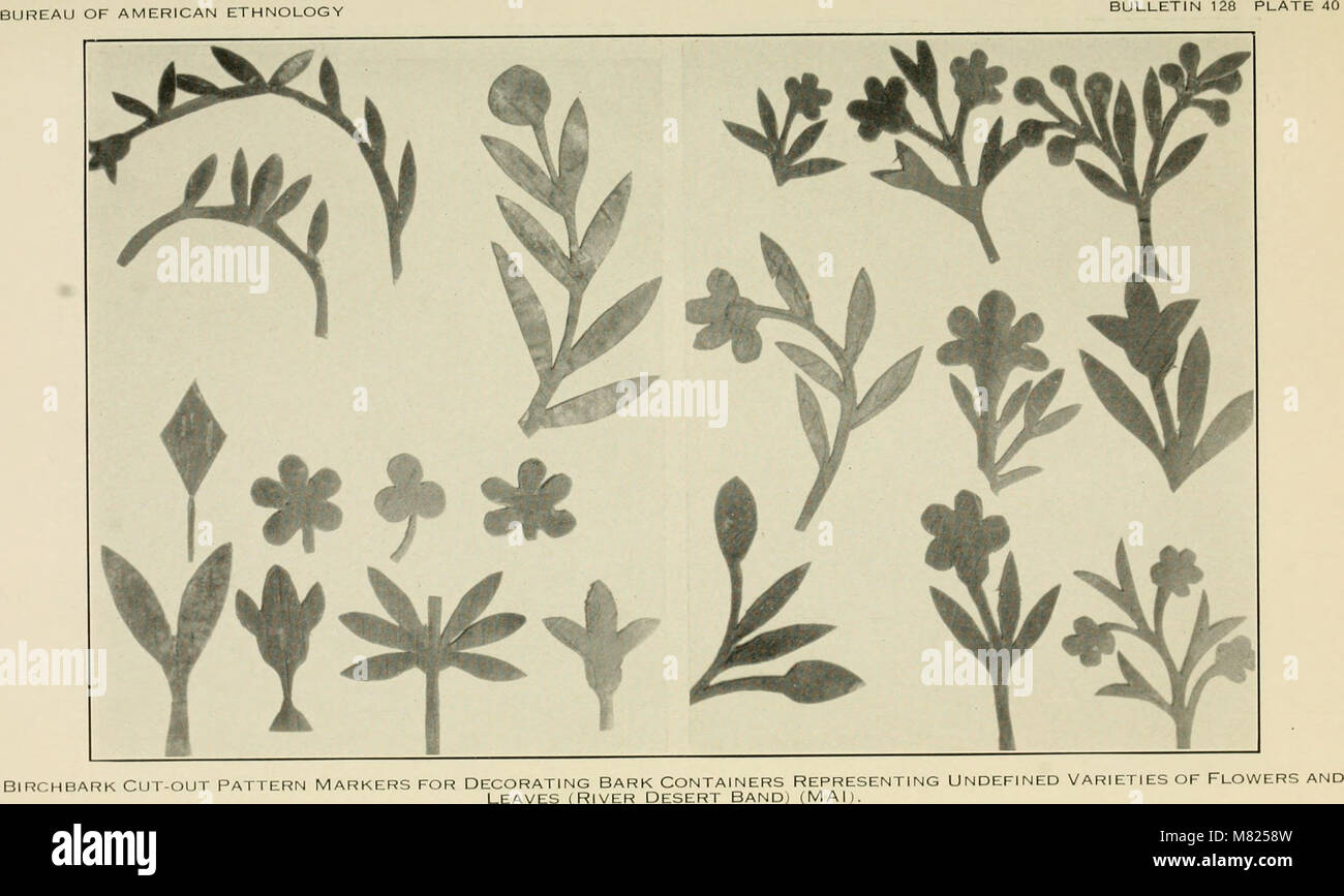 The Bulletin (1941) provides updates on scientific research ...