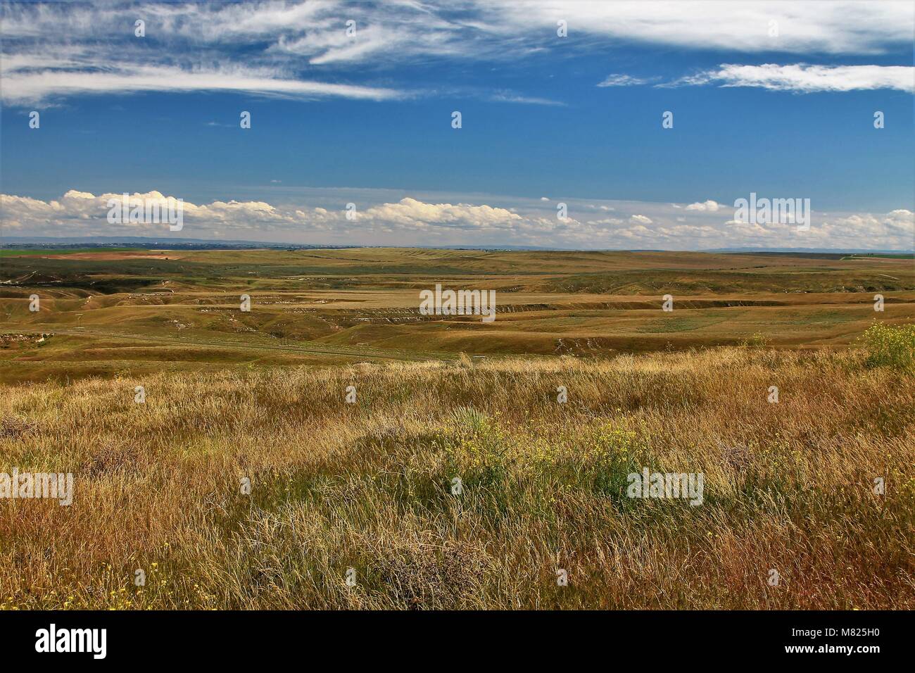 American grain fields hi-res stock photography and images - Alamy