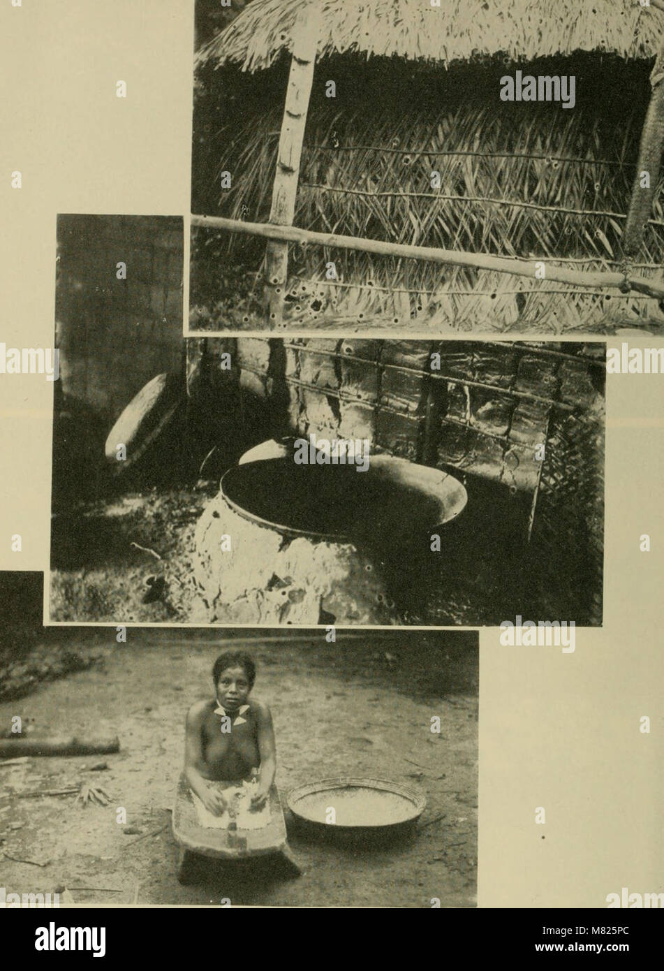 The *Bulletin* (1948) is a periodical report documenting key ...