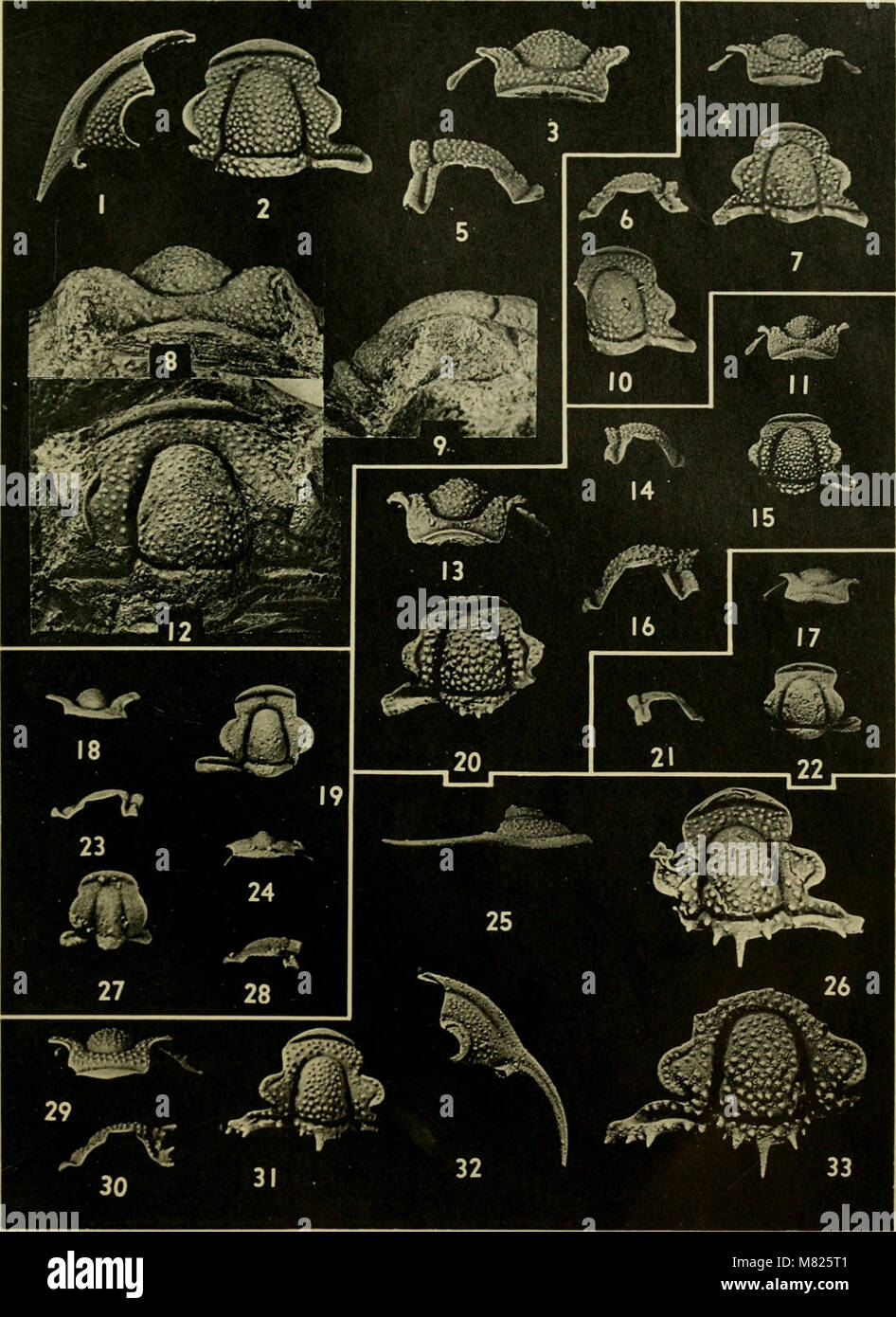 1951 bulletin hi-res stock photography and images - Alamy