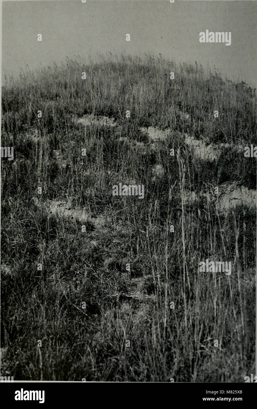 This 1953 bulletin provides updates and reports on various fields of ...