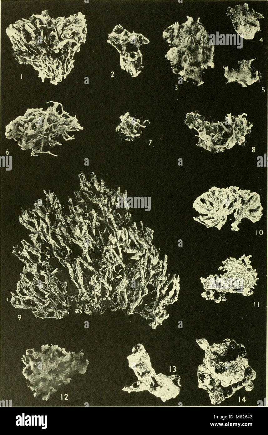 The 1958 Bulletin contains important scientific updates and discoveries ...