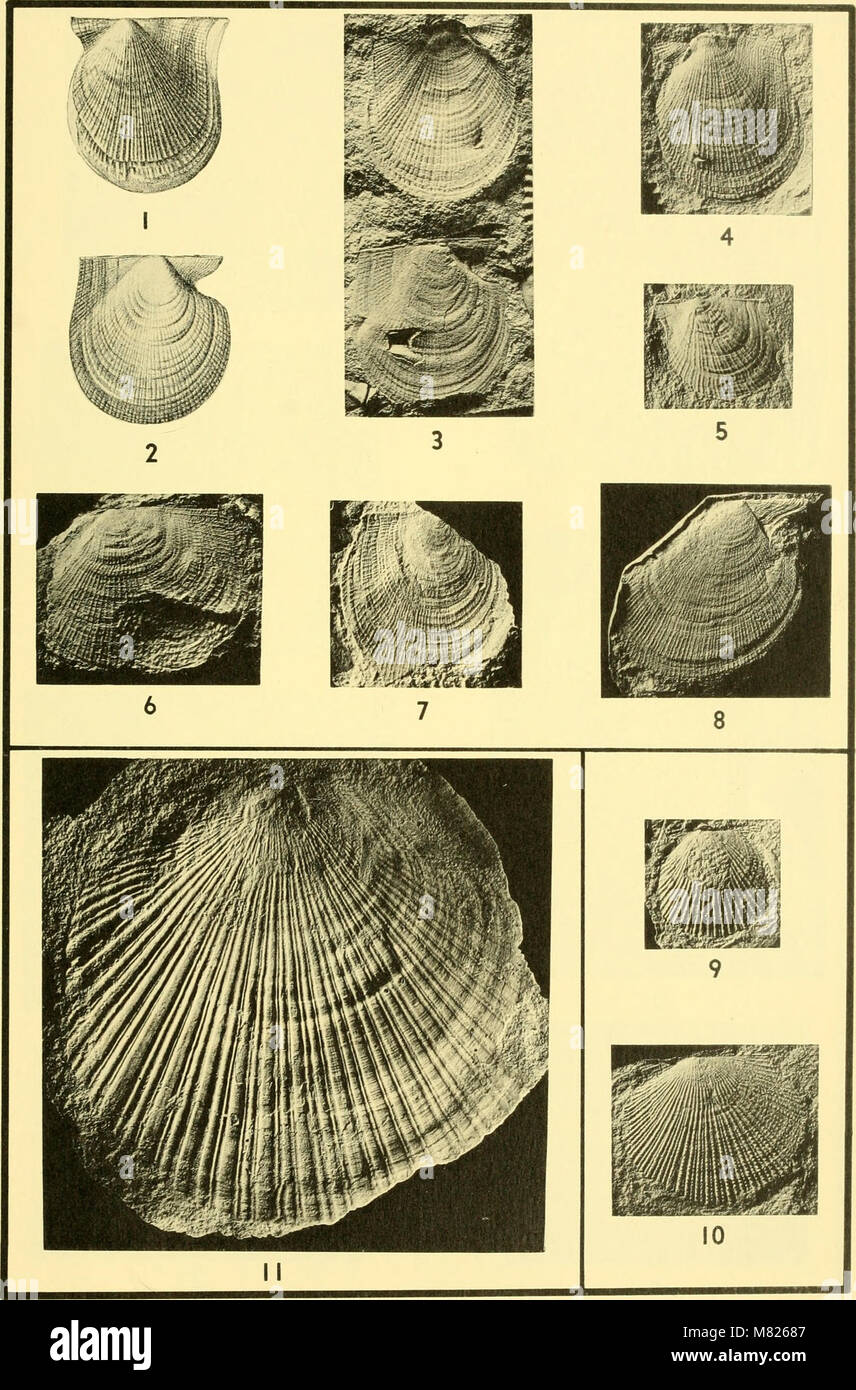 The 1962 *Bulletin* provides a detailed report on various scientific ...