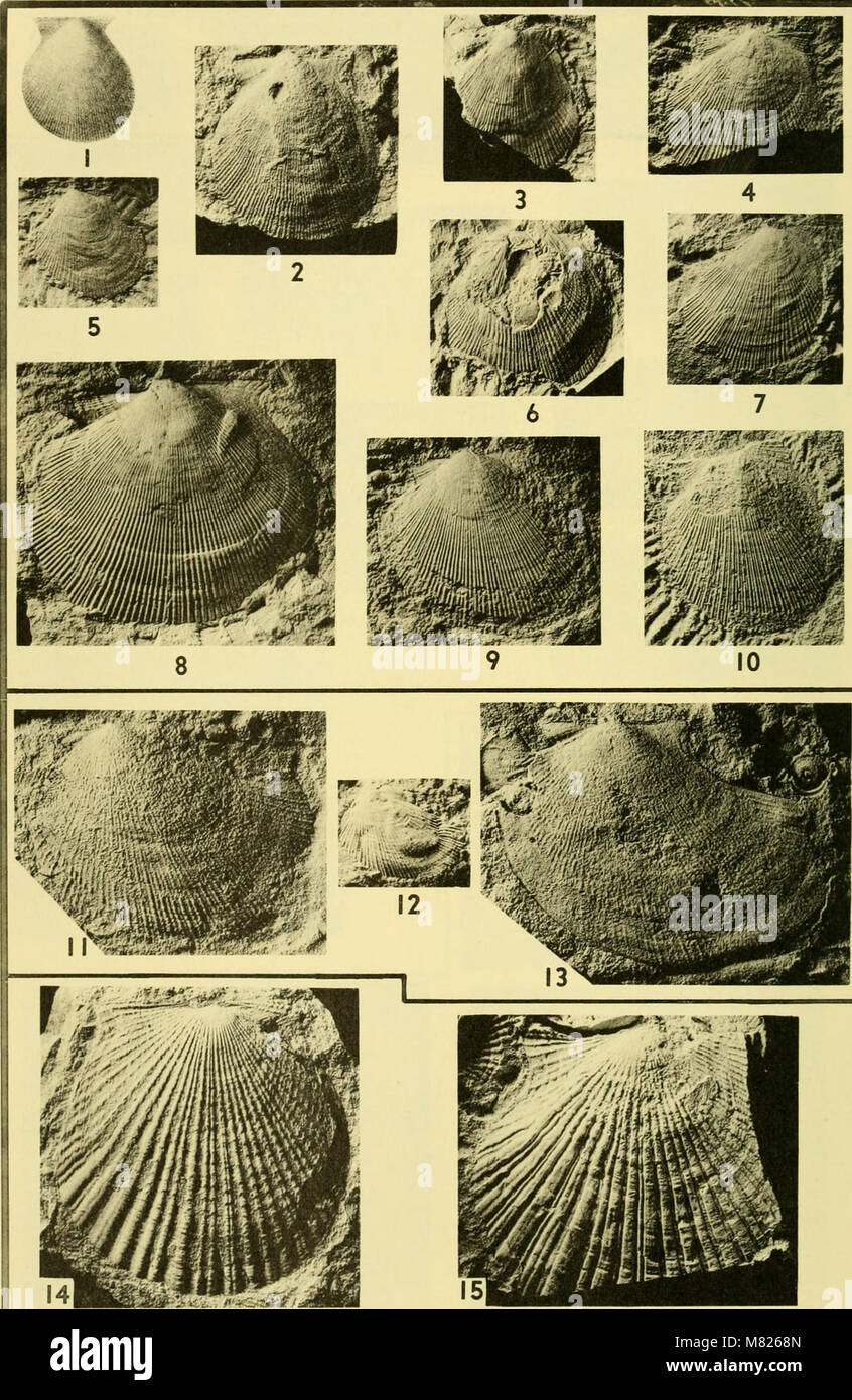 The 1962 Bulletin presents research and findings in various academic ...