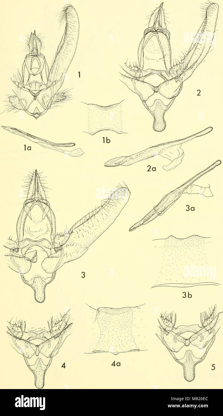 This 1969 bulletin features various scientific articles, primarily in ...