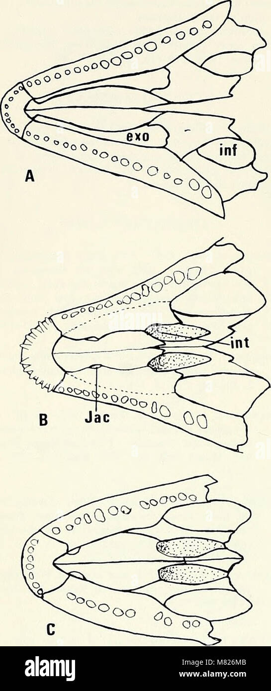 The Bulletin, first published in 1971, is a periodical publication that ...