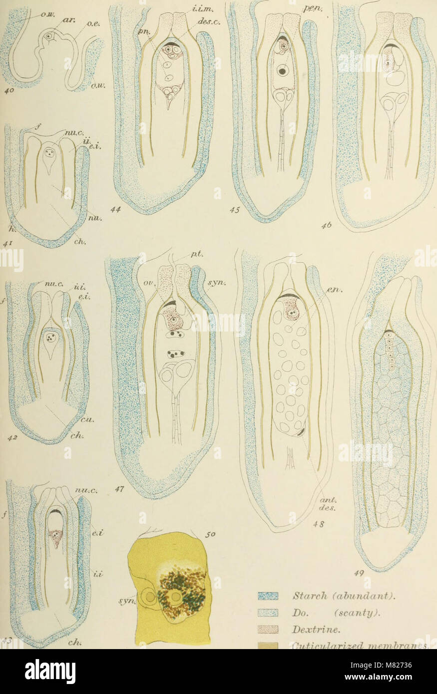 This bulletin provides updates and news on specific subjects, offering ...