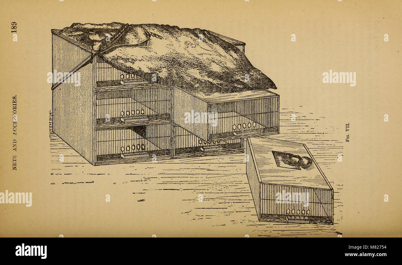 The 'Bulletin - Biological Survey' (1888) provides findings from ...